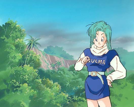 Bulma Page 2